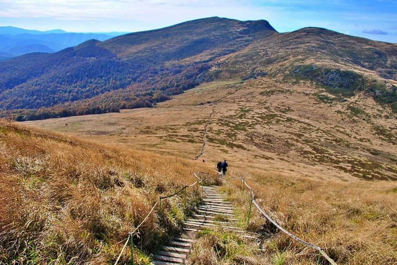 Bieszczadzka wędrówka: Rozsypaniec-Halicz-Tarnica (PREMIUM) - Trips Travel